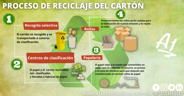 Proceso de reciclaje del cartón Proceso de reciclaje del cartón